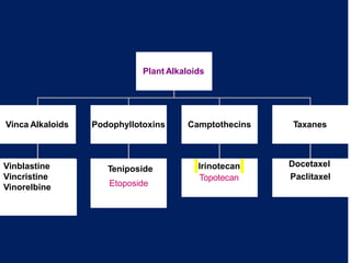 Anticancer drugs | PPTX
