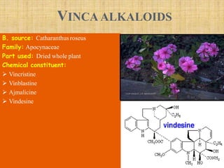 Anticancer drugs | PPTX
