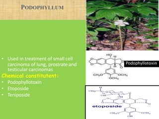 Anticancer drugs | PPTX