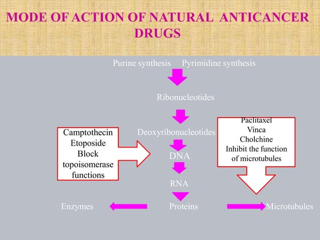 Anticancer drugs | PPT