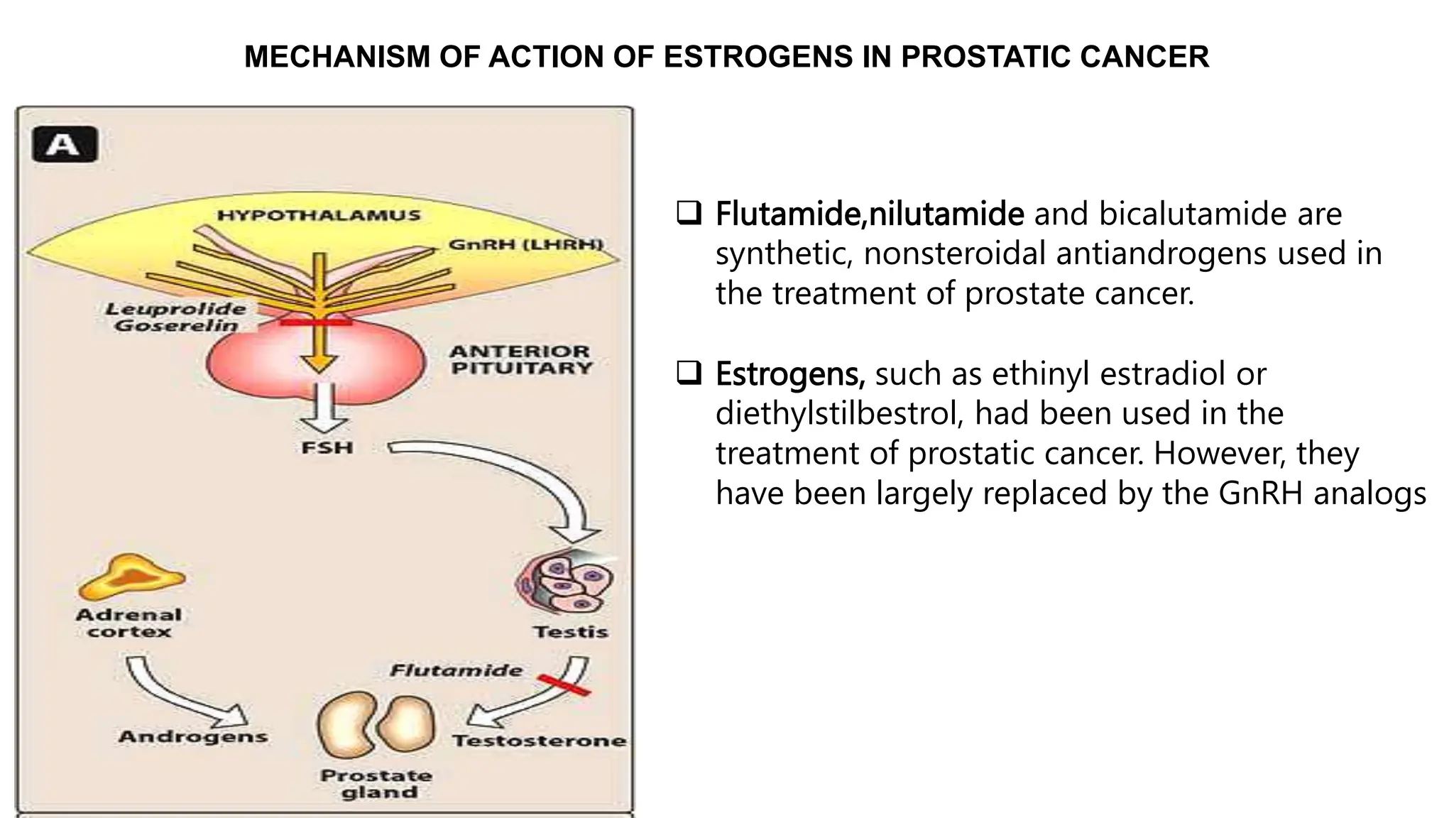 Anti Cancer Drugs.pptx