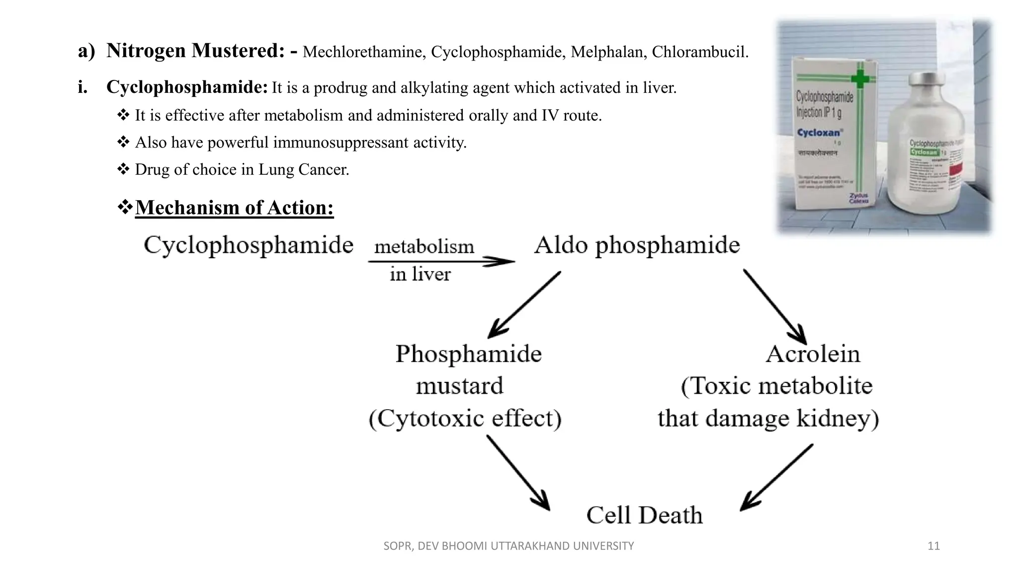 CLASSIFICATION OF ANTI - CANCER DRUGS.pptx