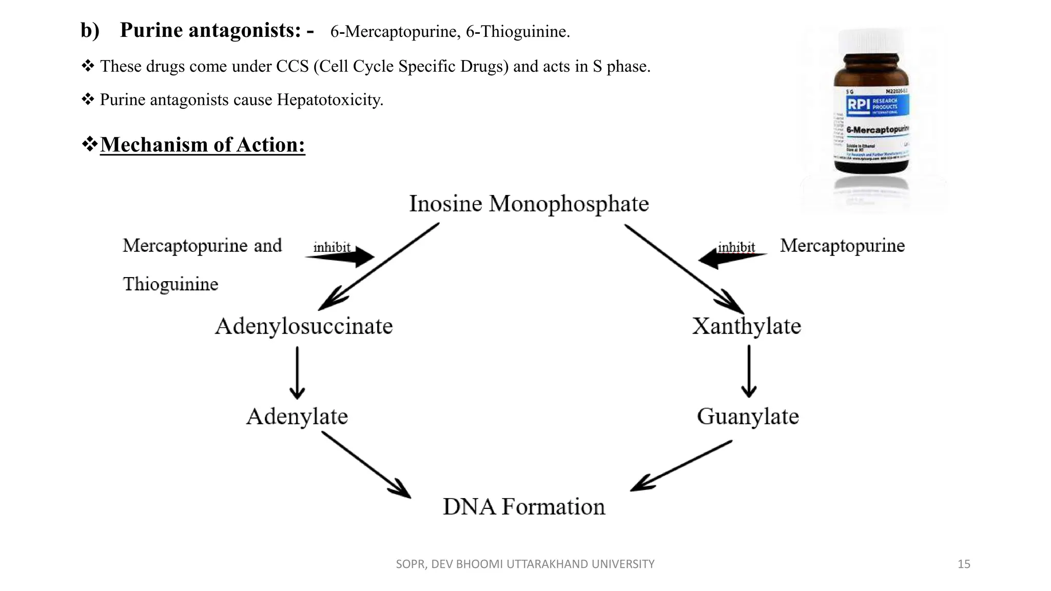CLASSIFICATION OF ANTI - CANCER DRUGS.pptx