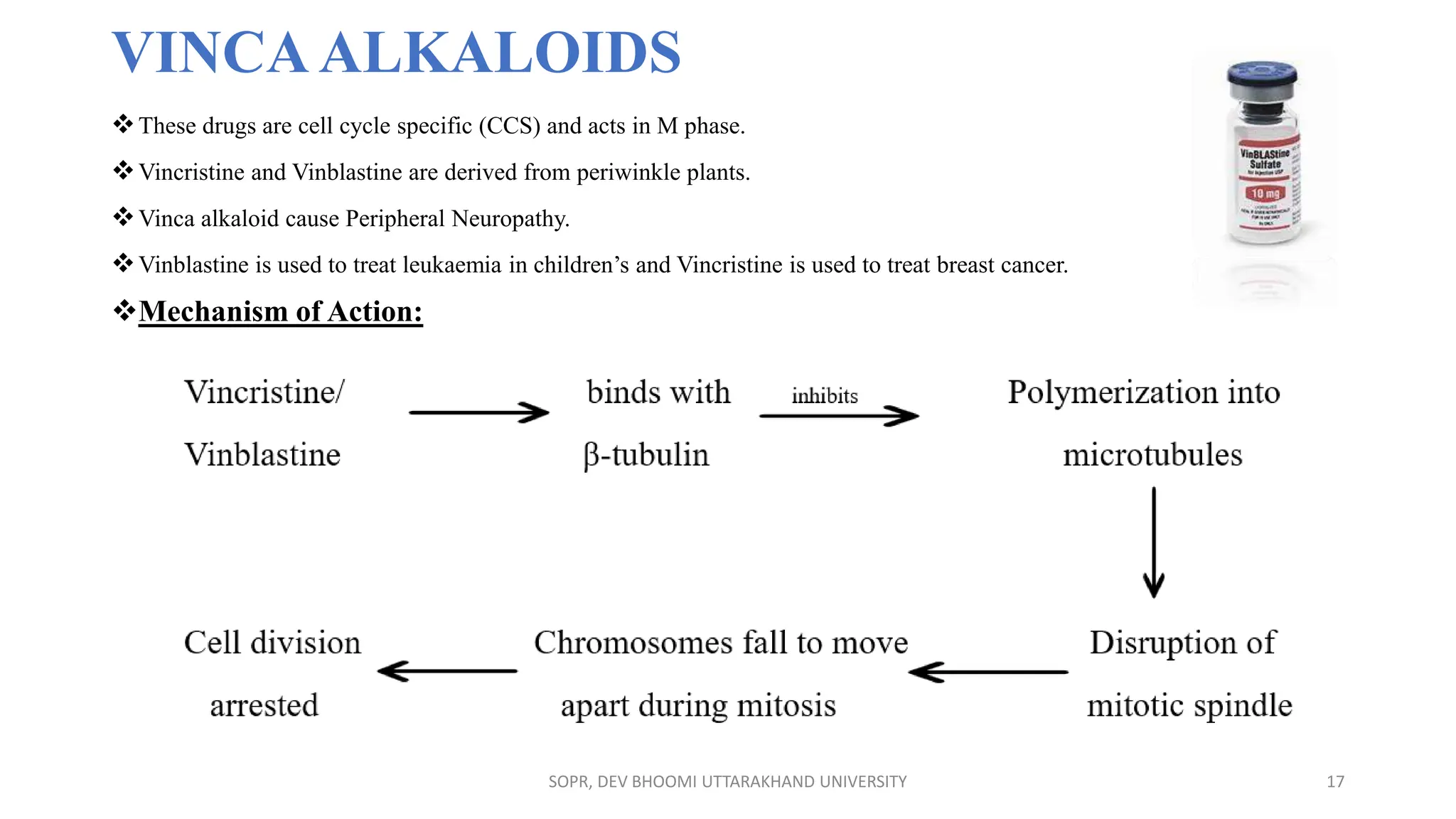 CLASSIFICATION OF ANTI - CANCER DRUGS.pptx