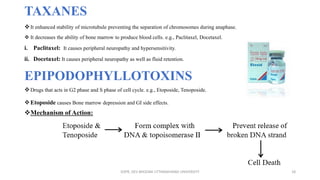CLASSIFICATION OF ANTI - CANCER DRUGS.pptx