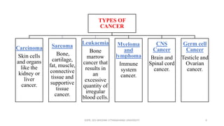 CLASSIFICATION OF ANTI - CANCER DRUGS.pptx