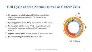 CLASSIFICATION OF ANTI - CANCER DRUGS.pptx