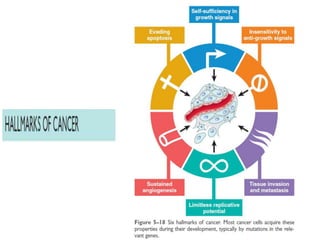 Anti Cancer drugs I.ppt