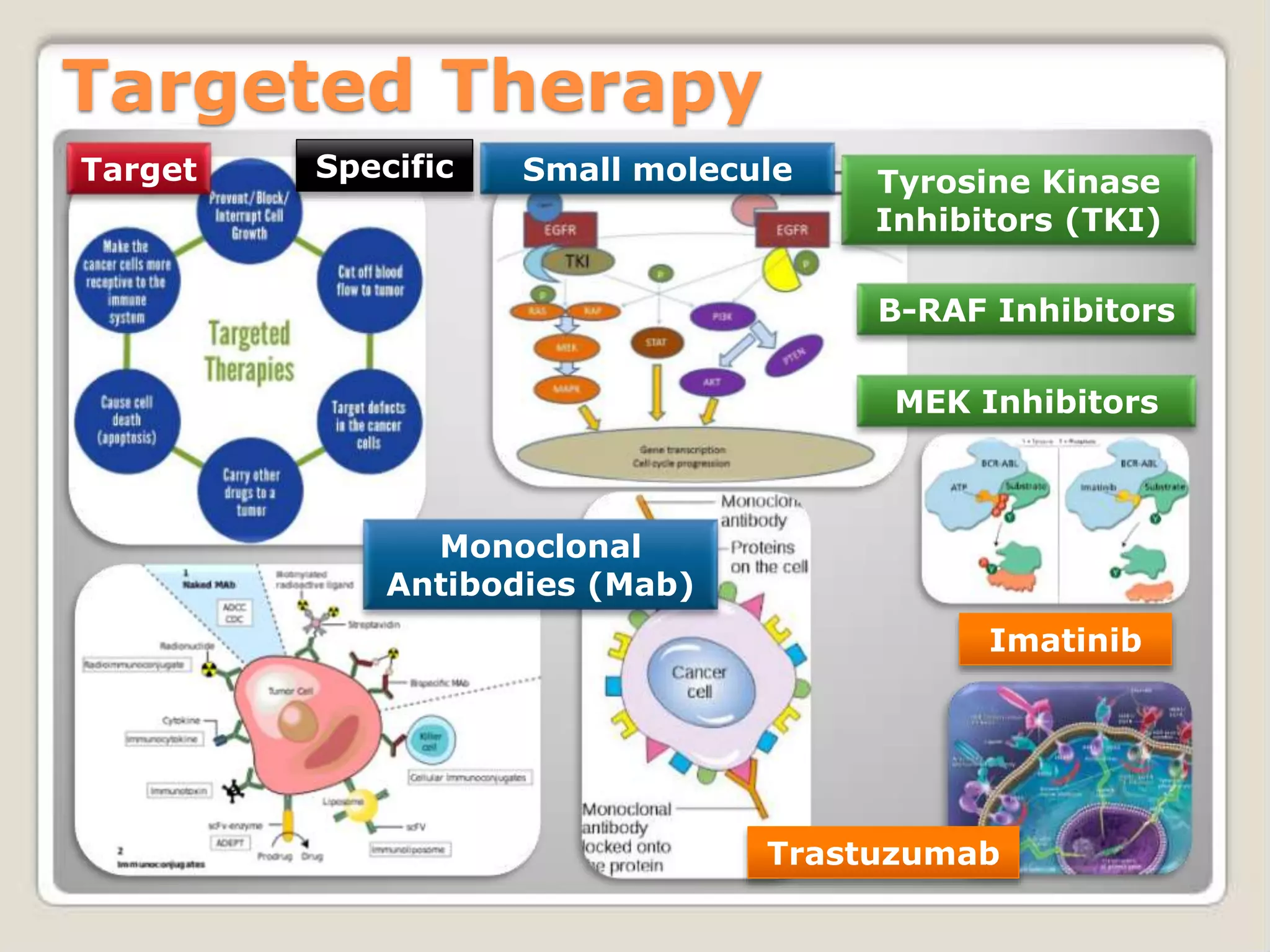 Anticancer Treatment | PPTX