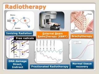 Anticancer Treatment | PPTX