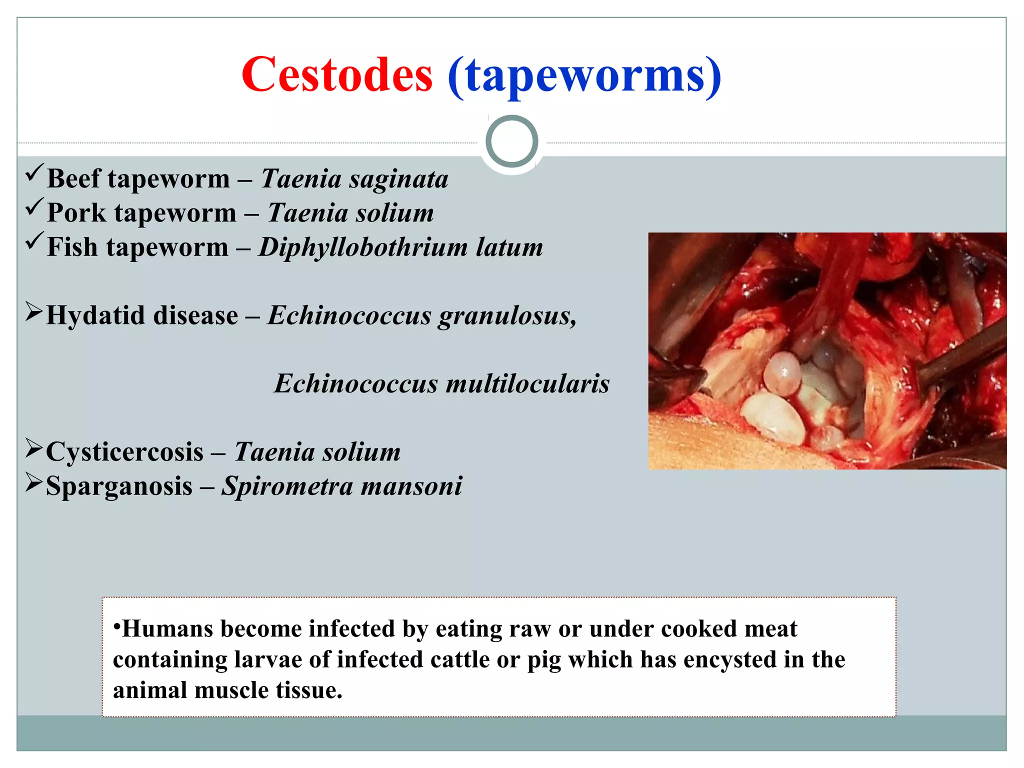 Presentation on Anticestode drugs | PPT