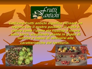 Antichi frutti | PPT