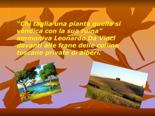 Antichi frutti | PPT