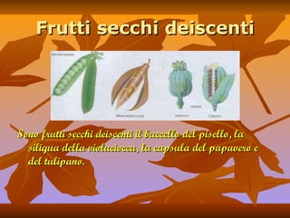 Antichi frutti | PPT | Gardening | Home & Garden