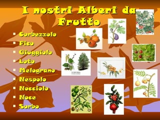 Antichi frutti | PPT | Gardening | Home & Garden