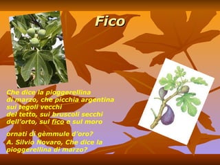 Antichi frutti | PPT | Gardening | Home & Garden