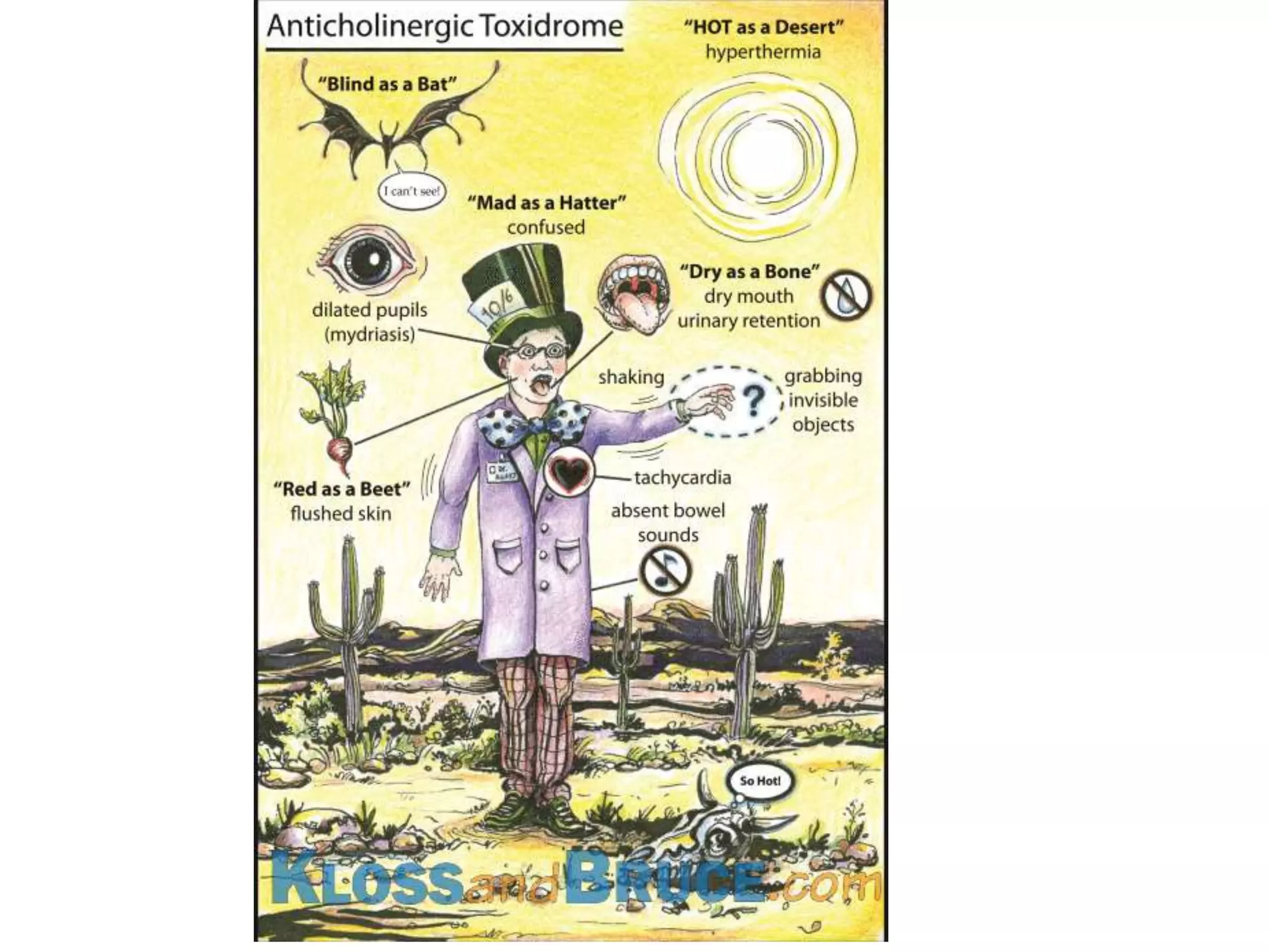 Anticholinergic system and drugs | PPTX