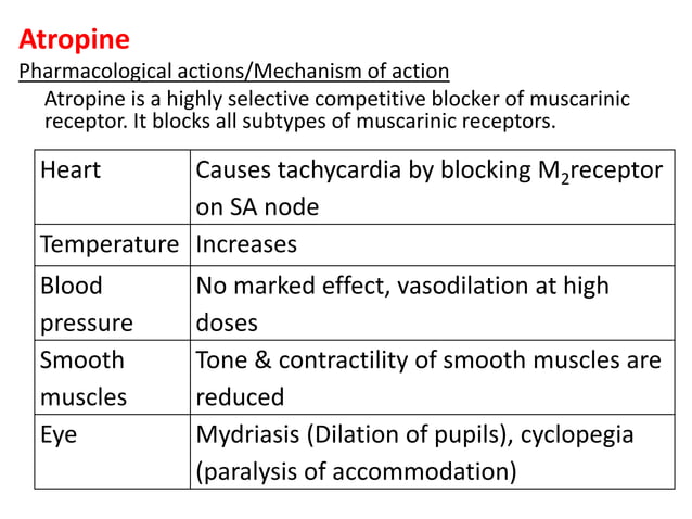 Anticholinergic system and drugs | PPTX | Brain and Nervous System ...