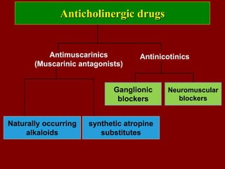 Anticholinergic drugs | PPT