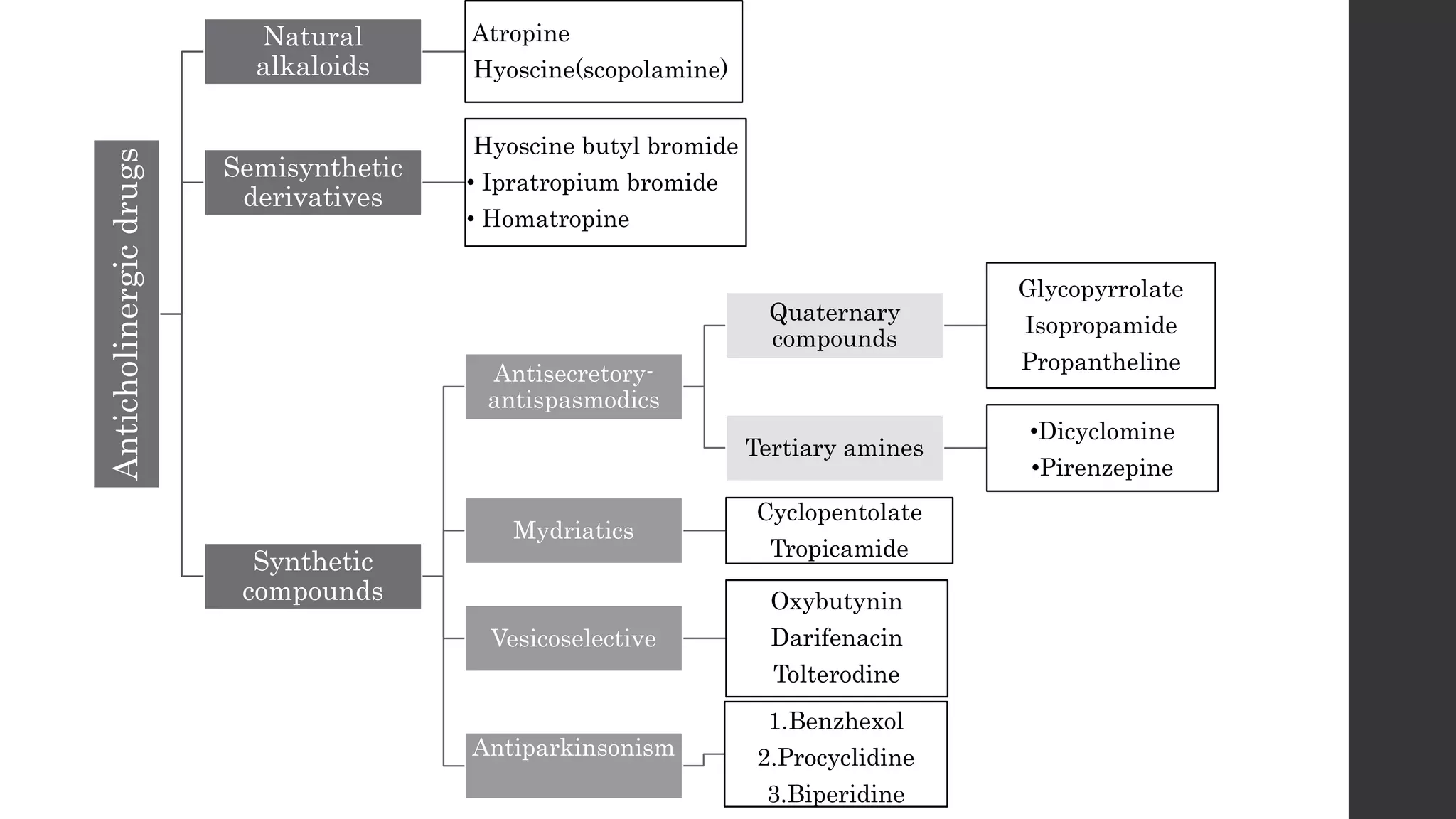 Anticholinergic drugs | PPTX | Brain and Nervous System Disorders ...