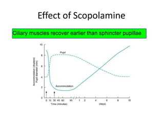 Anticholinergic Drugs | PPTX