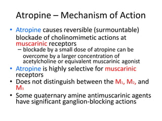 Anticholinergic Drugs | PPTX