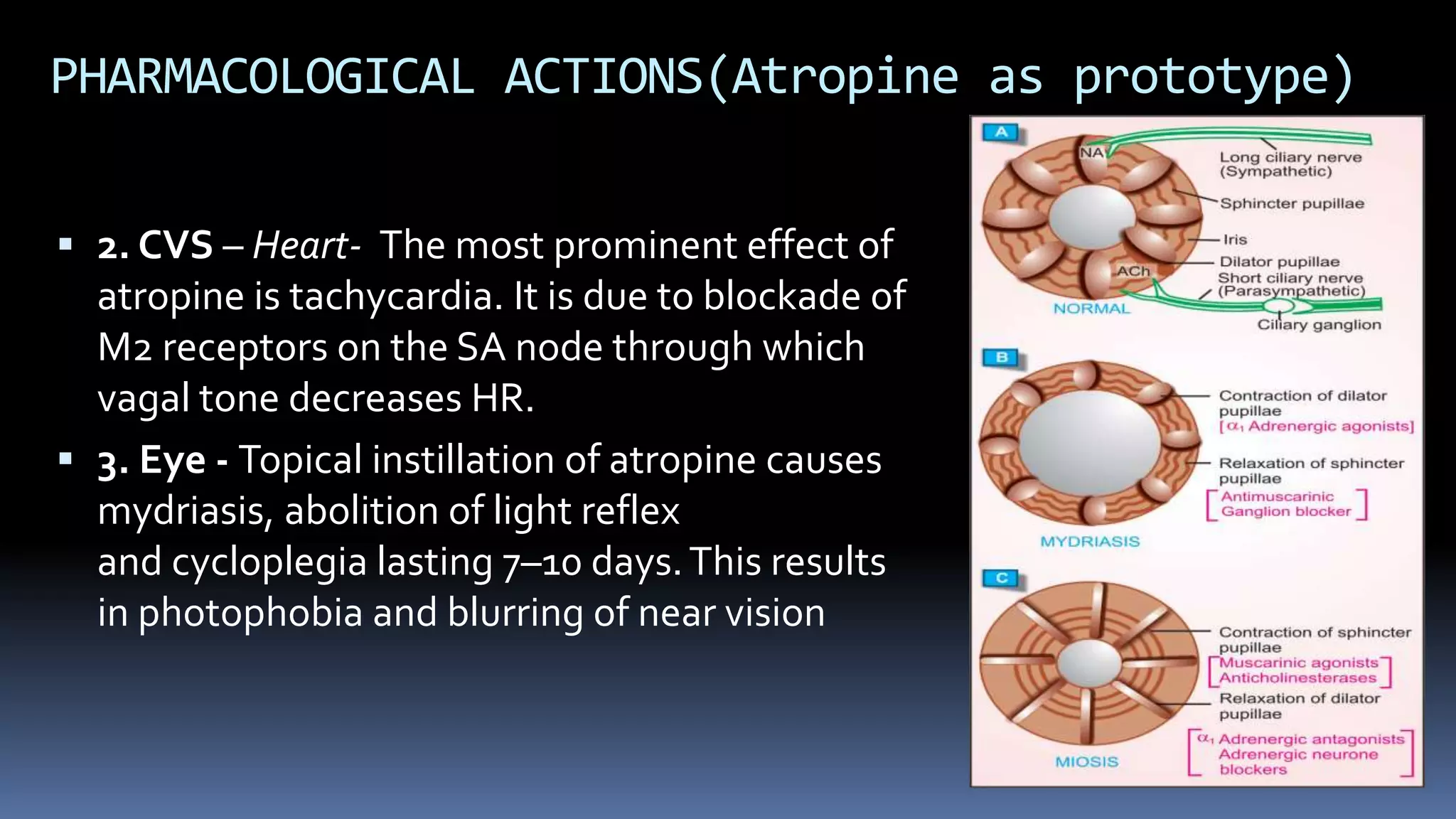 Anti cholinergic drugs | PPTX
