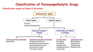 Anticholinergicas drogas en veterin.pptx