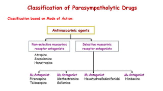 Anticholinergicas drogas en veterin.pptx