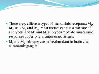 anticholinergic_drugs (3).pptx