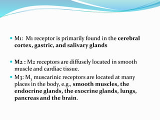 anticholinergic_drugs (3).pptx