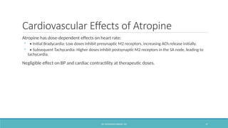 Anticholinergic Drugs: Mechanism, Uses, and Adverse Effects | PPTX