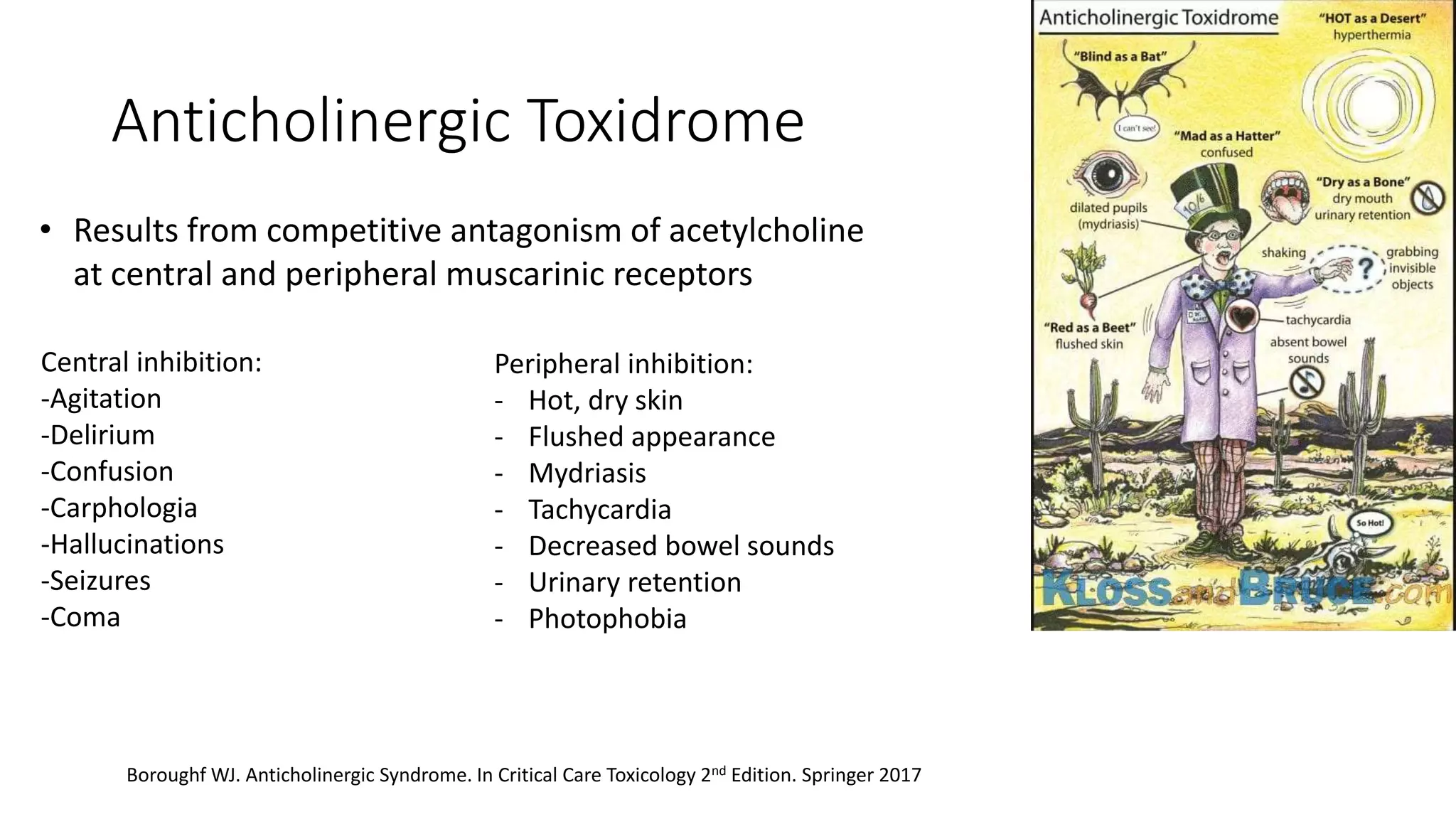 Anticholinergic plant poisoning final | PPTX
