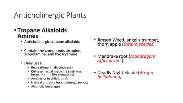 Anticholinergic plant poisoning final | PPTX