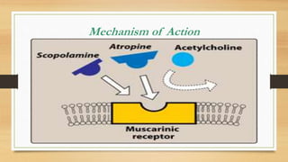 Anticholinergic Drugs | PPTX