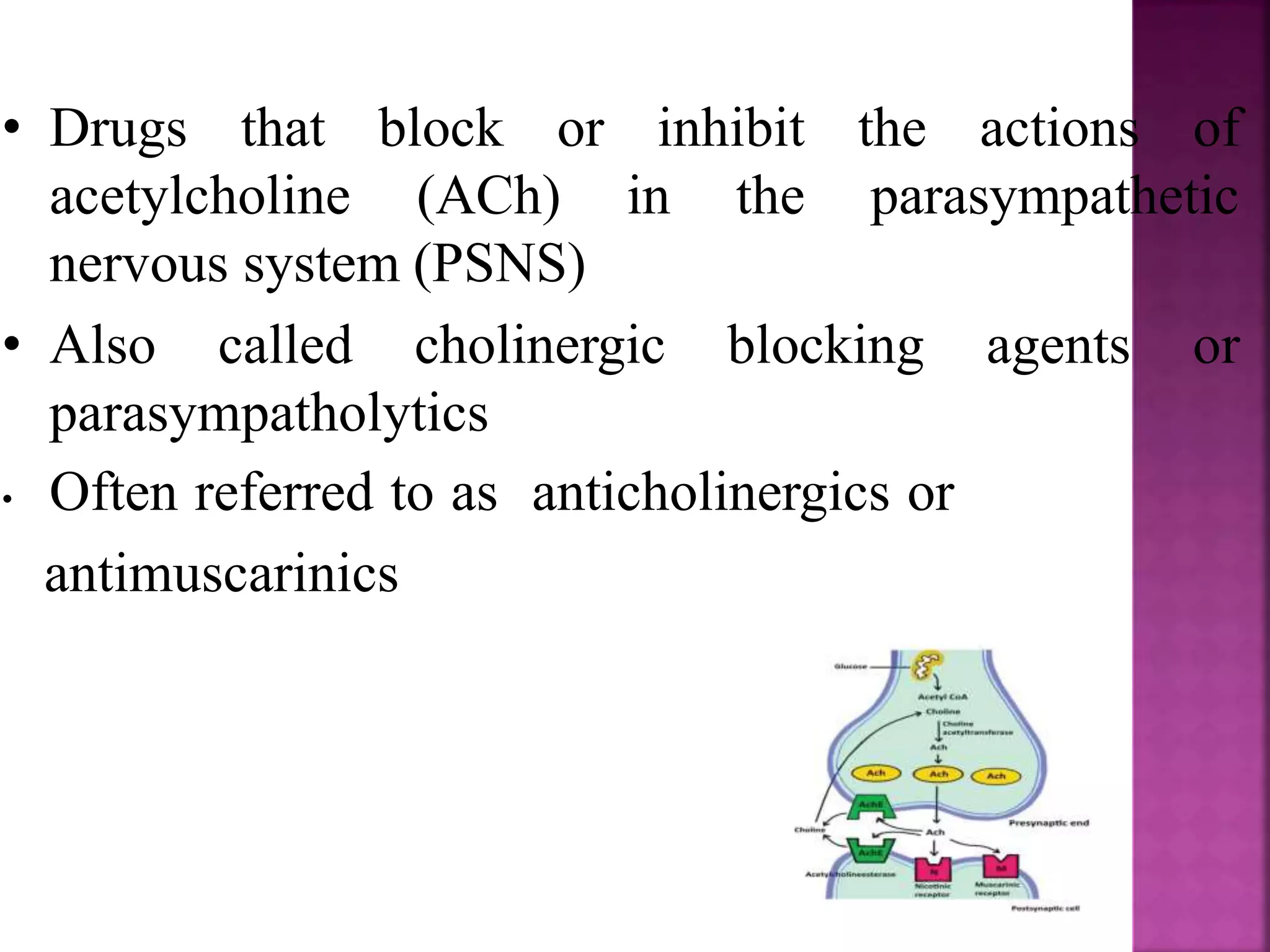 Anticholinergics.pptx | Lung and Respiratory Health | Diseases and ...