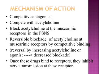 Anticholinergics.pptx | Lung and Respiratory Health | Diseases and ...