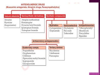 Anticholinergics.pptx | Lung and Respiratory Health | Diseases and ...
