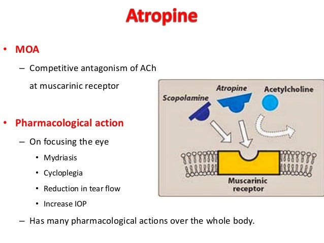 Anticholinergics Drugs for Optometry
