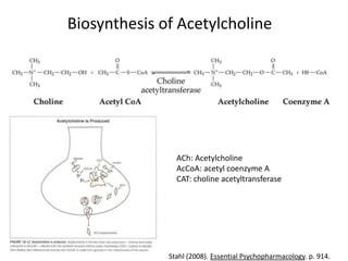 Anticholinesterase | PPTX