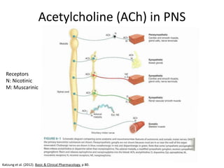 Anticholinesterase | PPTX