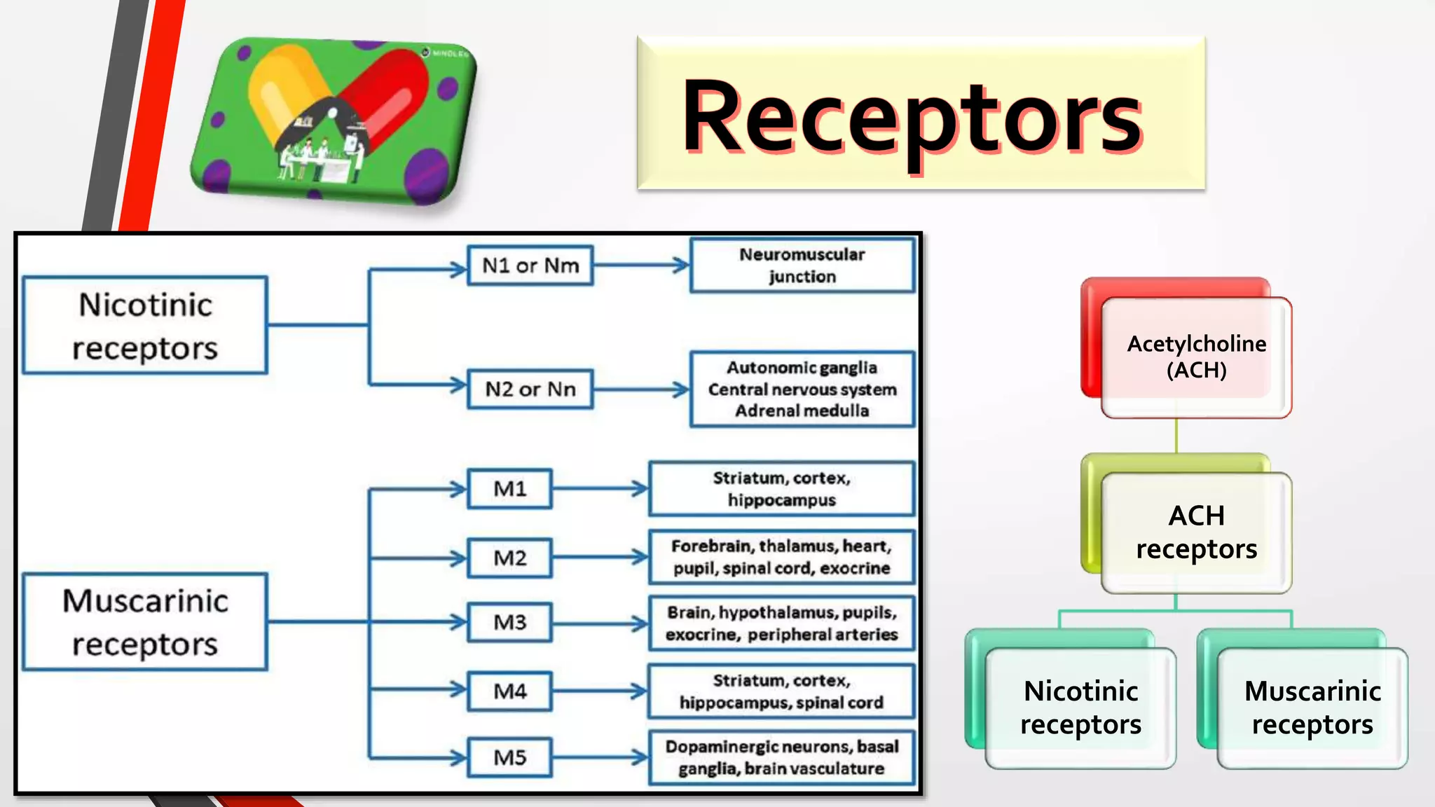 Anticholinesterase | PPTX
