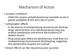Anticholinesterase basic pharmacology and uses | PPTX