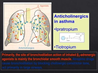 Anticholinergic Drugs by Dr.Pawan | PPTX