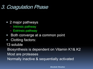 Anticoagulants | PDF