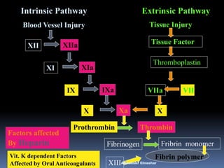 Anticoagulants | PDF