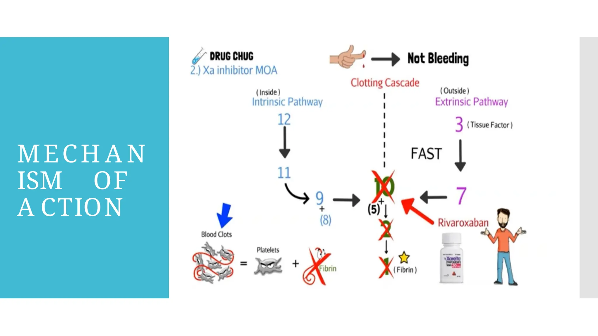 ANTICOAGULANT - FACTOR 10A INHIBITORS.pptx