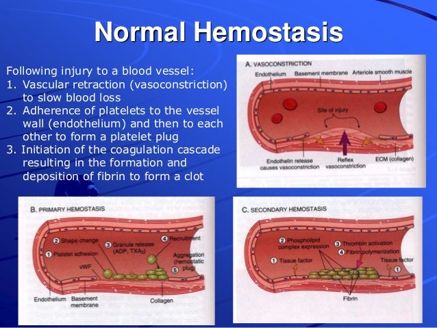 Anticoagulant and antiplatelet drugs