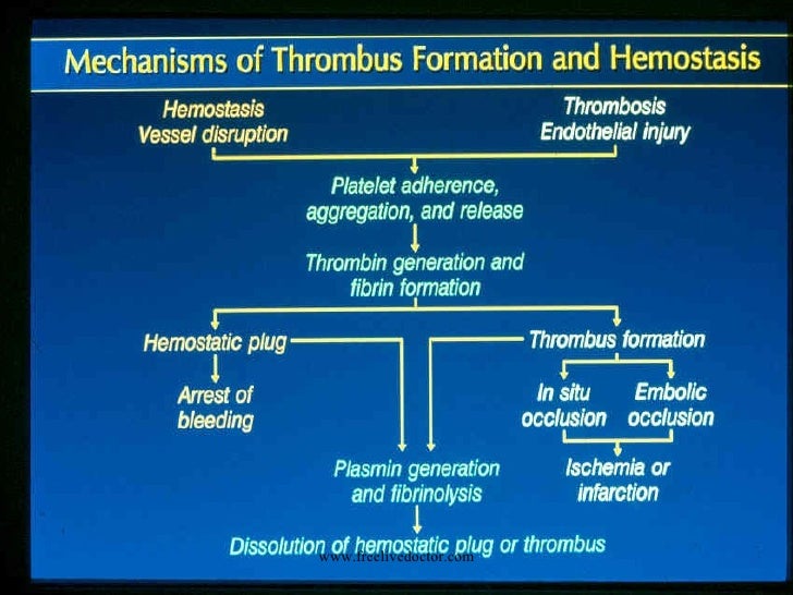 Anticoagulant, antithrombotic and anti platelet drugs