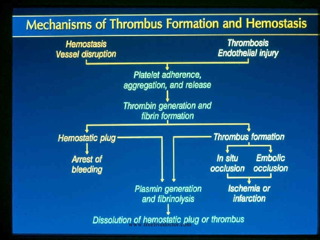 Antithrombotic Drugs
